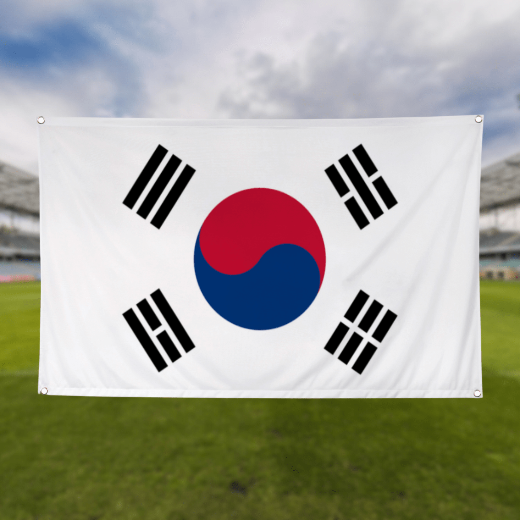 South Korea Flag - Fully Customisable (5X3 FT) – Terrace Flags